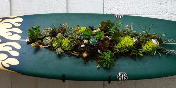 Succulent Surfboard Planter | Upcycle That