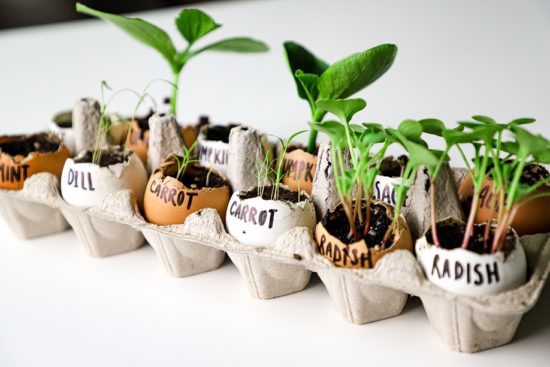 Upcycled Garden - 5 Ideas! | Upcycle That